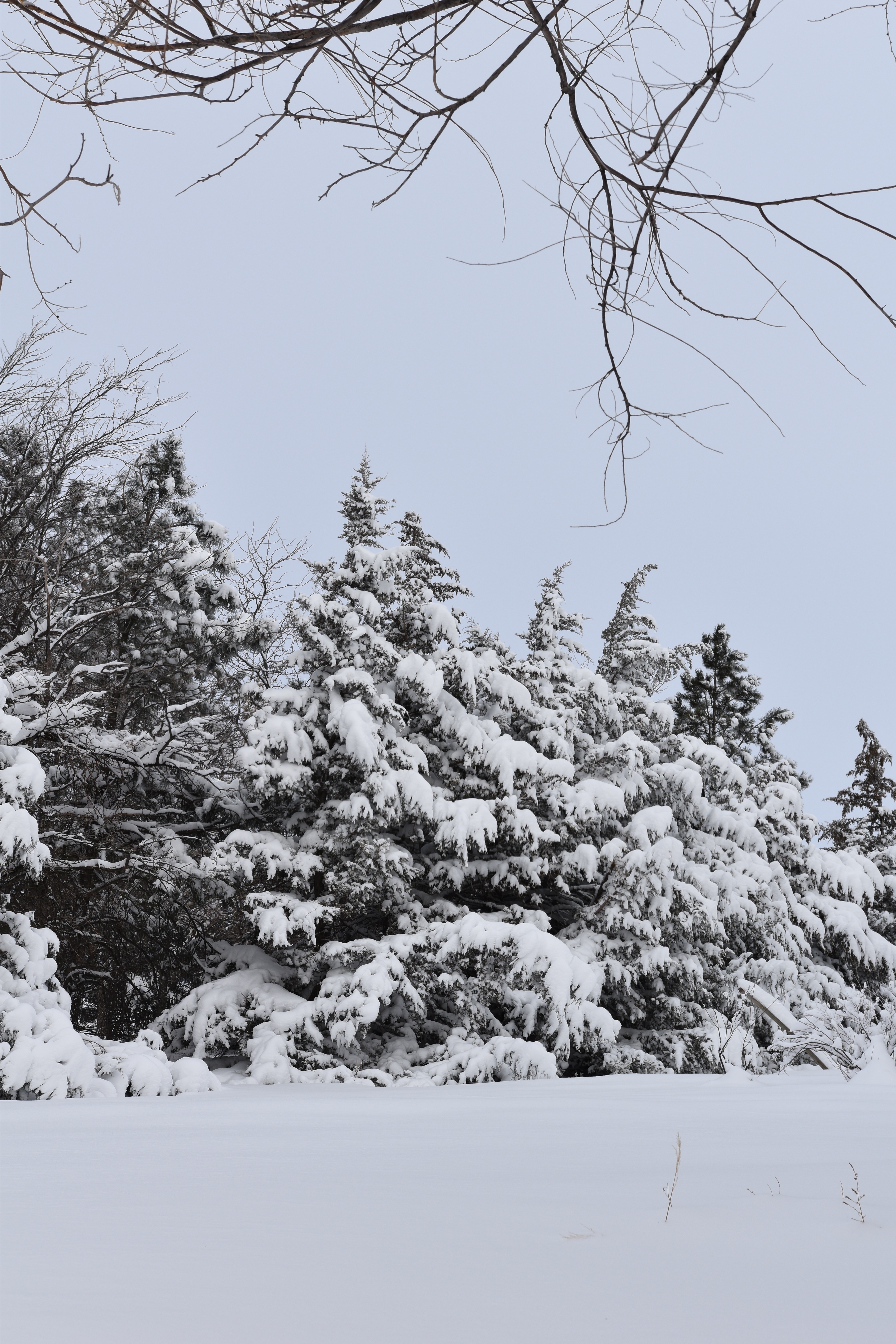 An Old Fashioned Christmas | Seeking The Timeless Anchor