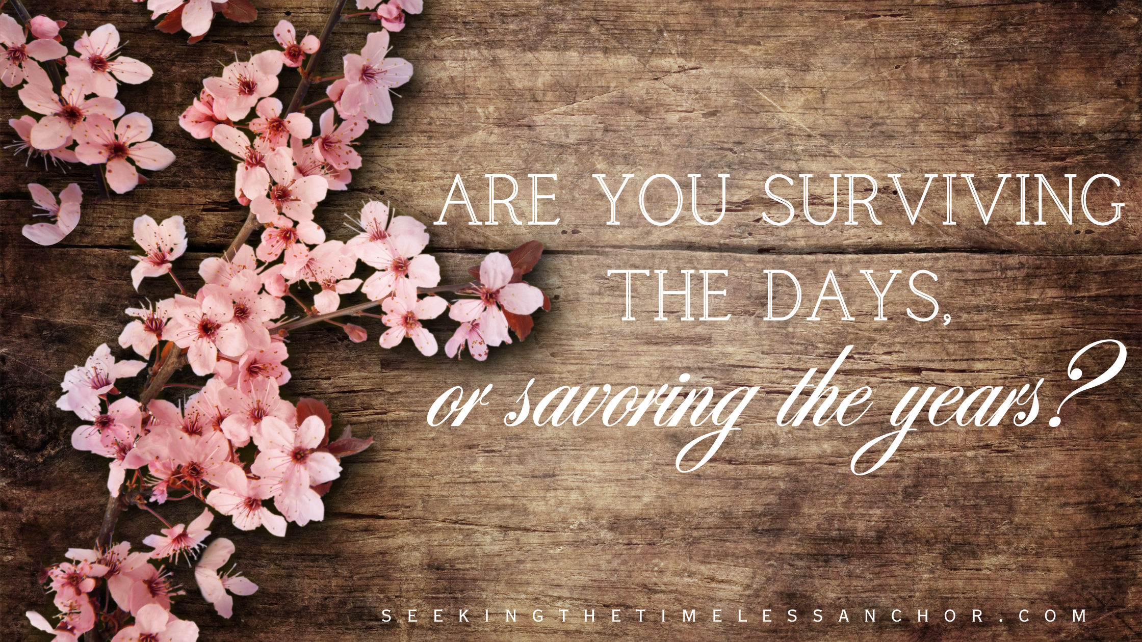 Are You Surviving The Days, Or Savoring The Years? | Seeking The ...